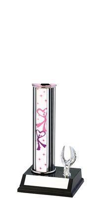Eye-Catching Dance Trophies and Custom Sports Awards | Dinn Trophy