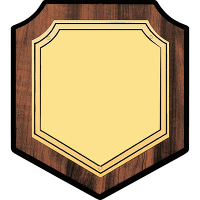 Gold Brass Contemporary Plaque | Dinn Trophy