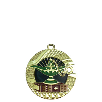 School - Lamp of Learning Medal in Bright Gold w/ Ribbon & Awards ...