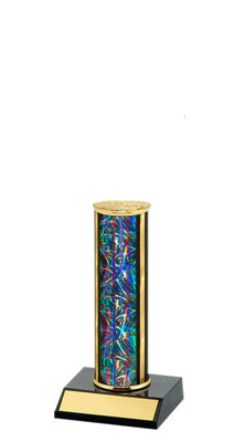 Personalized Debate Trophies & Awards | Dinn Trophy