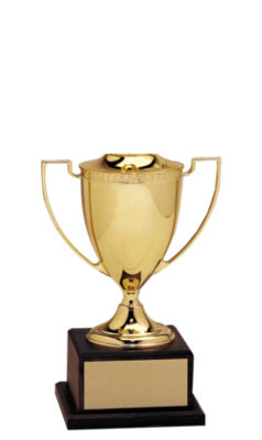 Classic Trophies and Awards for Any Occasion | Dinn Trophy