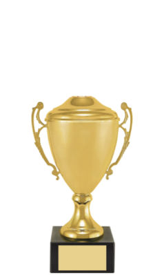 Modern Gold Cup Trophy | Dinn Trophy