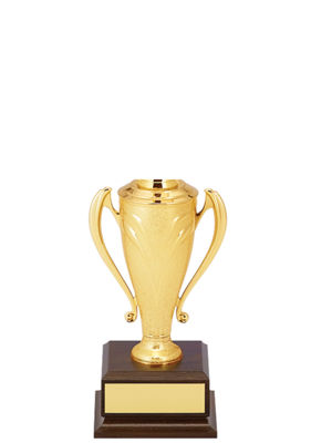 Classic Trophies and Awards for Any Occasion | Dinn Trophy