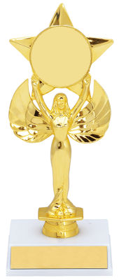 Achievement Star Emblem Trophy | Dinn Trophy