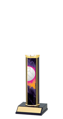 Volleyball Sport Series Trophy, Trophies | Dinn Trophy