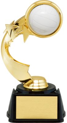 3D Volleyball Emblem Star Riser Trophy | Dinn Trophy