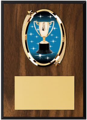 Oval Achievement Emblem Plaque, Plaques | Dinn Trophy