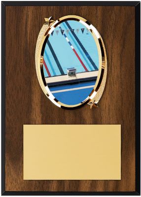 Oval Swimming Emblem Plaque, Plaques | Dinn Trophy