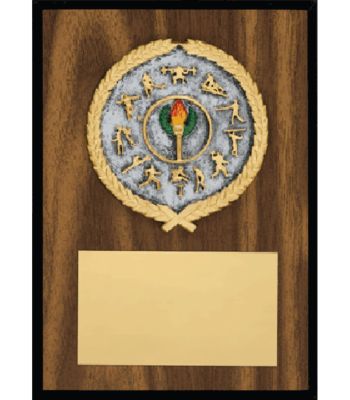 All Sports 3D Casting Plaque, Plaques | Dinn Trophy
