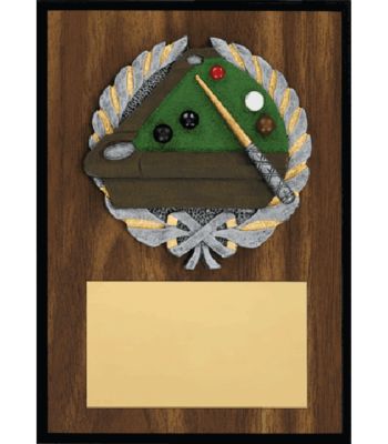 Billiards 3D Casting Plaque, Plaques | Dinn Trophy