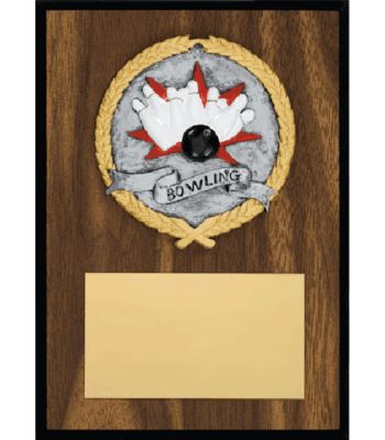 Bowling 3D Casting Plaque, Plaques | Dinn Trophy
