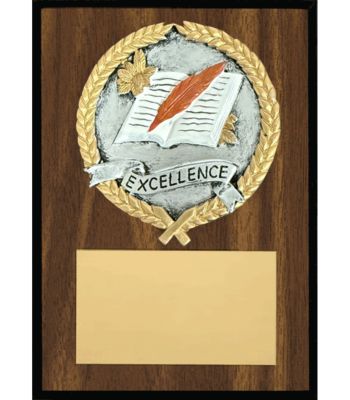 Education - Excellence 3D Casting Plaque, Plaques | Dinn Trophy