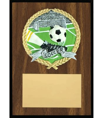 Soccer 3D Casting Plaque, Plaques | Dinn Trophy