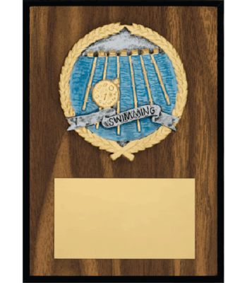 Swim 3D Casting Plaque, Plaques | Dinn Trophy
