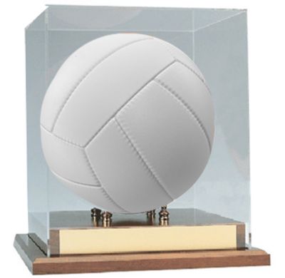 Volleyball Display Case | Dinn Trophy