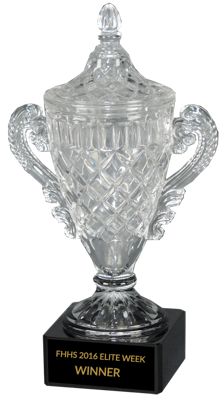 Elegant Crystal Trophy Cup | Dinn Trophy