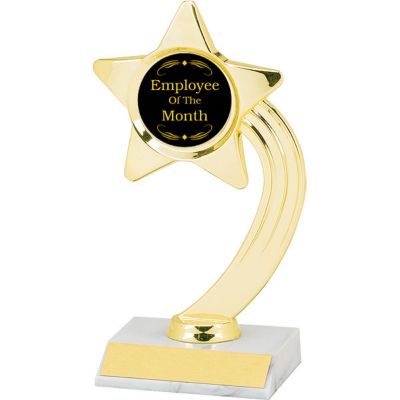 Employee Of The Month Trophies | Dinn Trophy