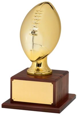 Official Size Trophies, Sports Awards | Dinn Trophy