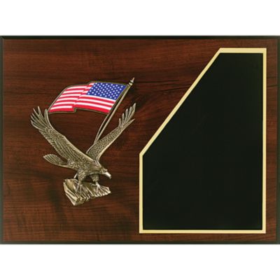 Eagle with American Flag Plaque, Plaques | Dinn Trophy