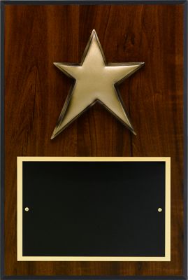 Modern Star Casting Black Brass Plaque | Dinn Trophy