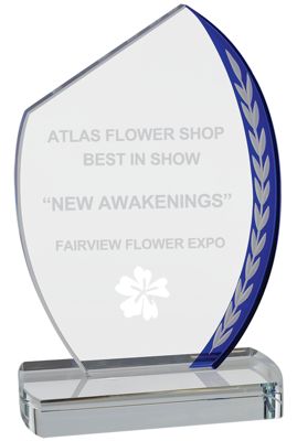 Blue Slant Oval Edge Glass Award | Dinn Trophy