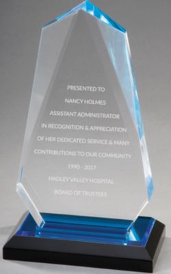 Modern Blue Reflection Award | Dinn Trophy