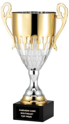 Metal Silver and Gold Cup Trophy | Dinn Trophy