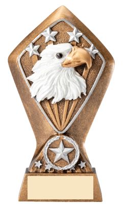 Eagle Rising Star Resin Trophy | Dinn Trophy