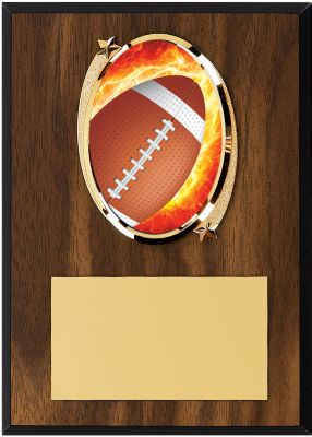 Oval Football Emblem Plaque, Plaques | Dinn Trophy
