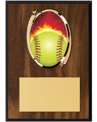 Oval Softball Emblem Plaque, Plaques | Dinn Trophy
