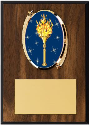 Oval Victory Emblem Plaque, Plaques | Dinn Trophy