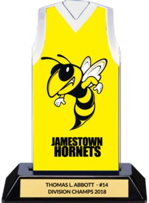 Custom Color Logo Jersey Trophies | Dinn Trophy